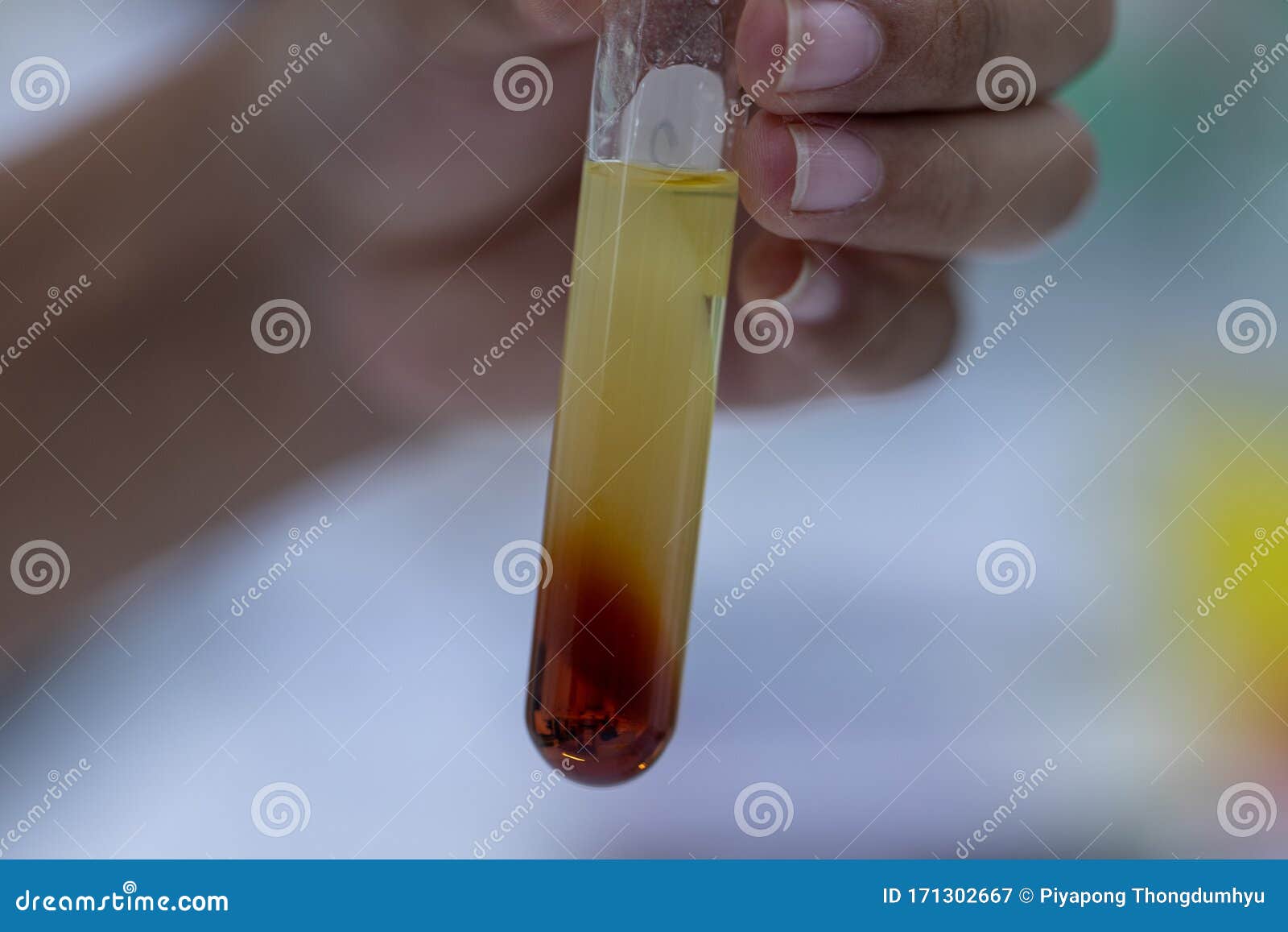 Biodiesel Production is the Process of Producing the Biofuel, Biodiesel ...