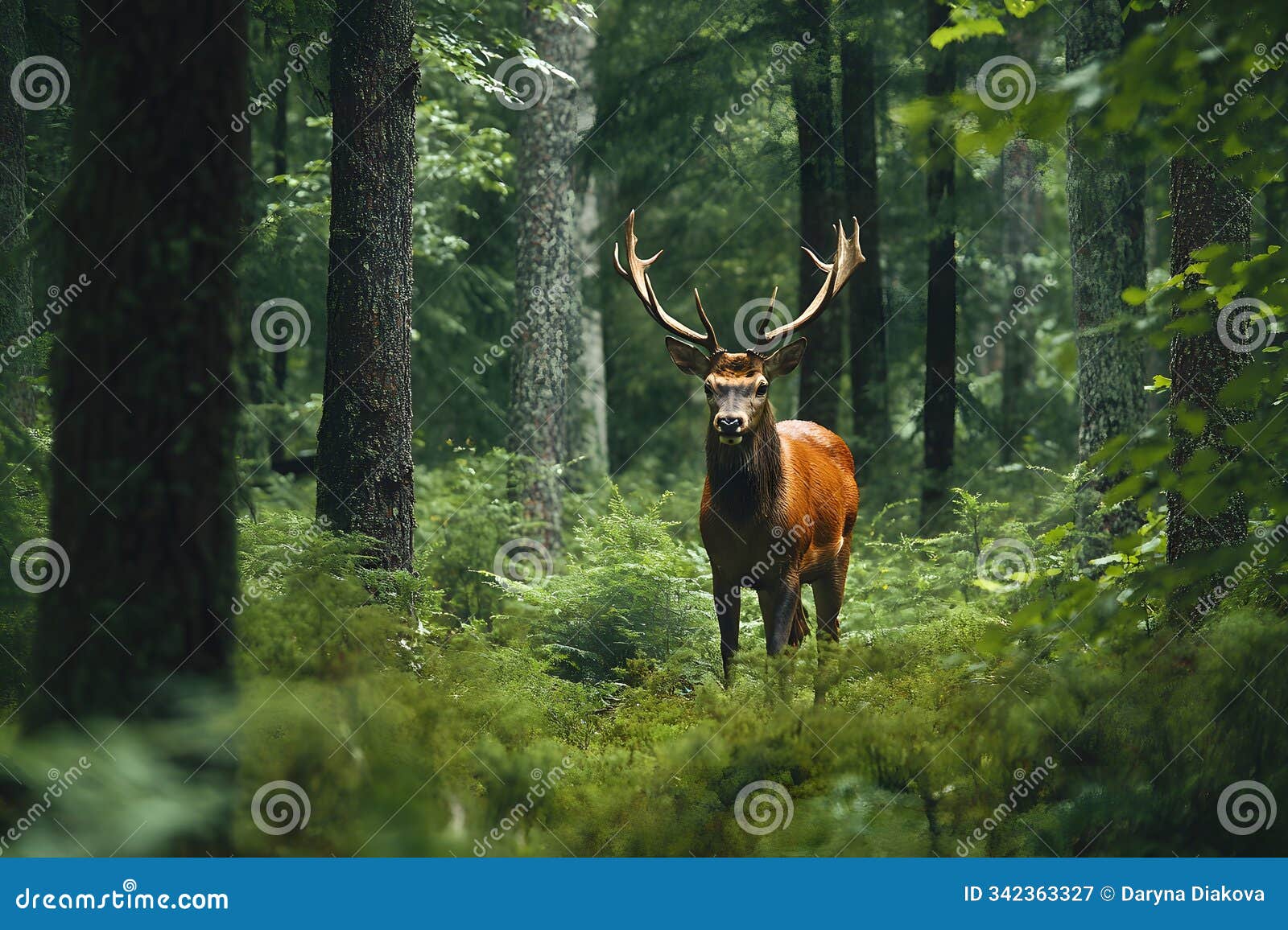 Biodiversity Beacon: Wild Animals in Forest Habitat Stock Illustration ...