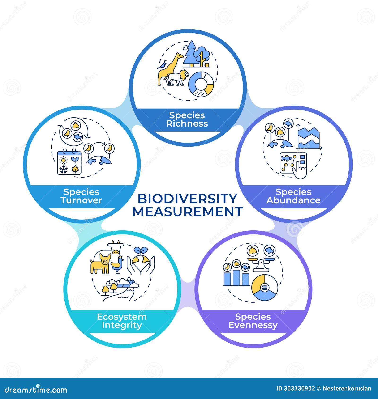Biodiversity Measurement Infographic Circles Flowchart Stock Vector ...
