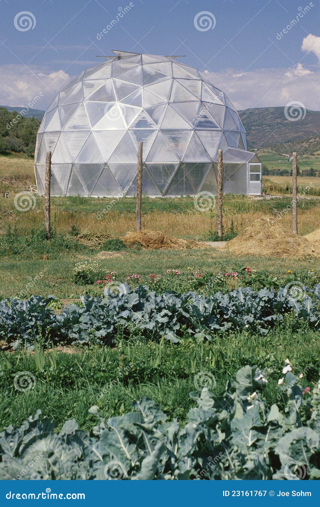 Biodome image stock. Image du normal, états, couleur - 23161767