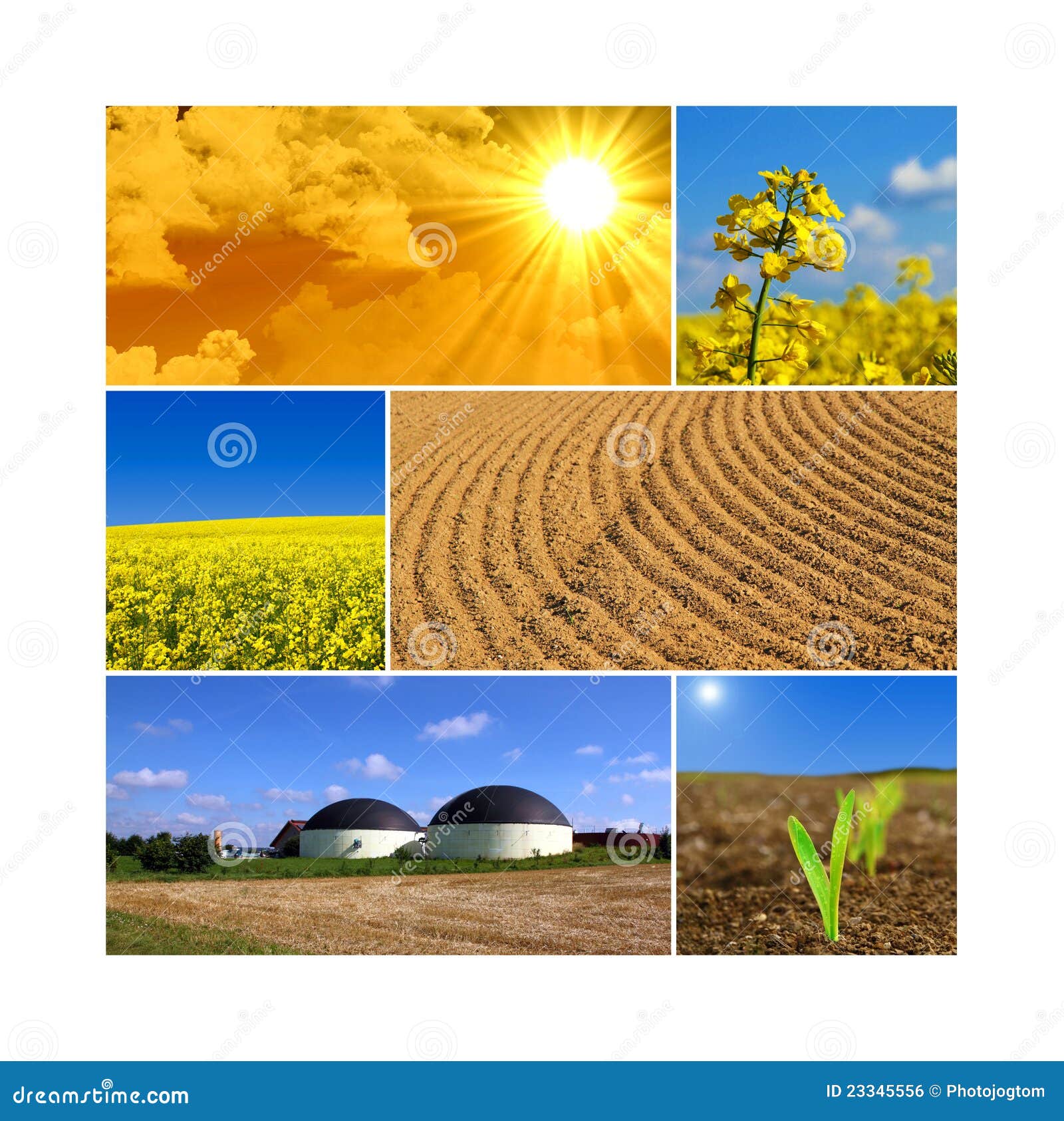 Bioenergy stock photo. Image of landscape, nature, flower - 23345556