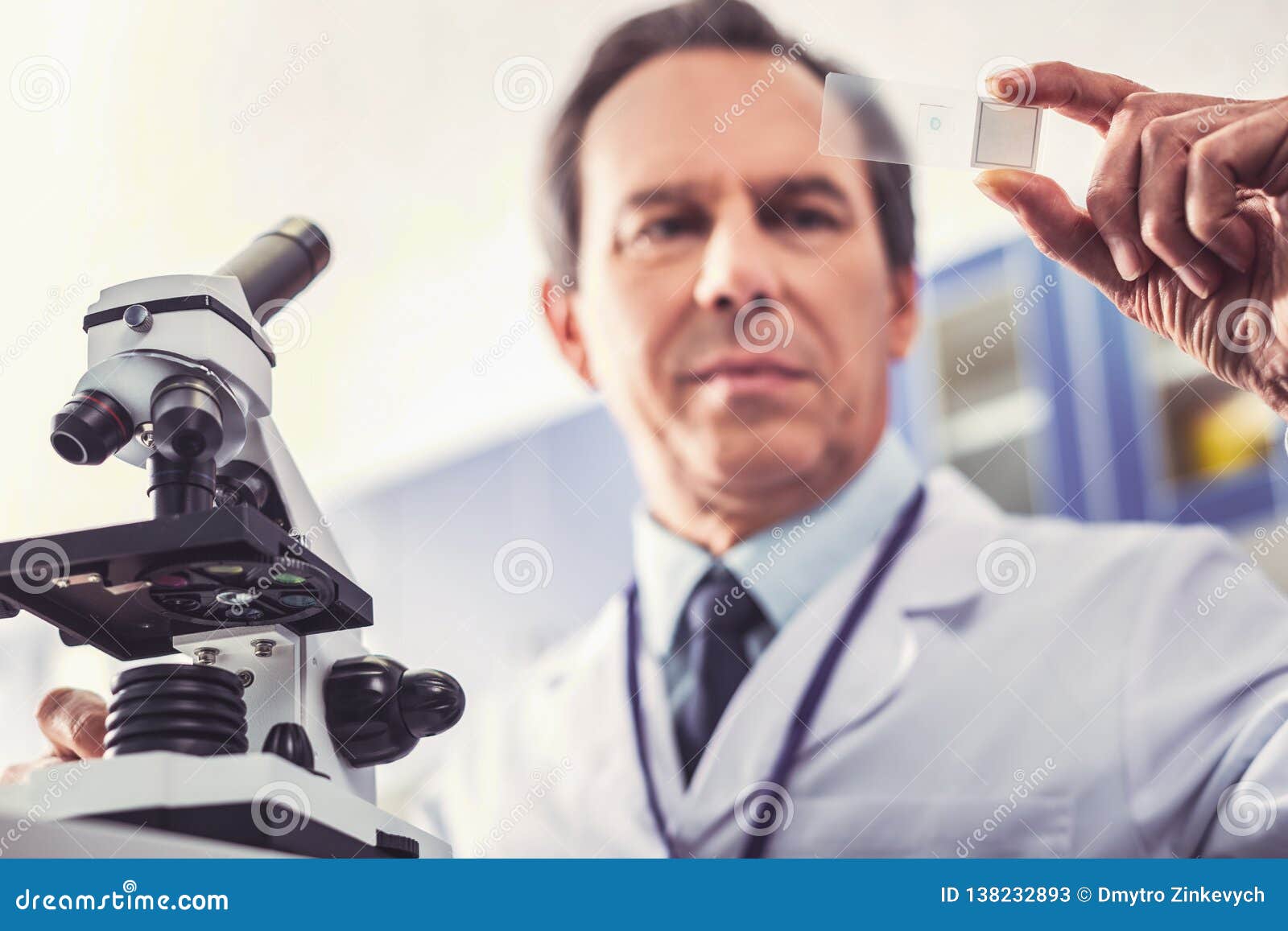 Bioengineer Performing Parental Test in Laboratory Stock Image - Image ...