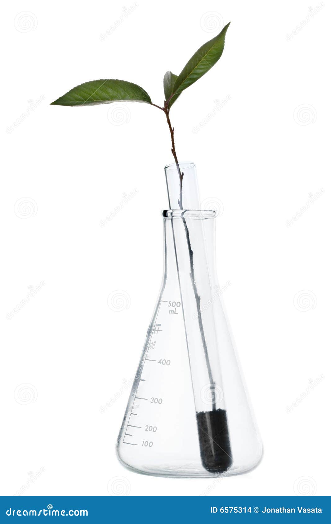 Bioengineering Crops Concept Stock Photo - Image of erlenmeyer, stem ...