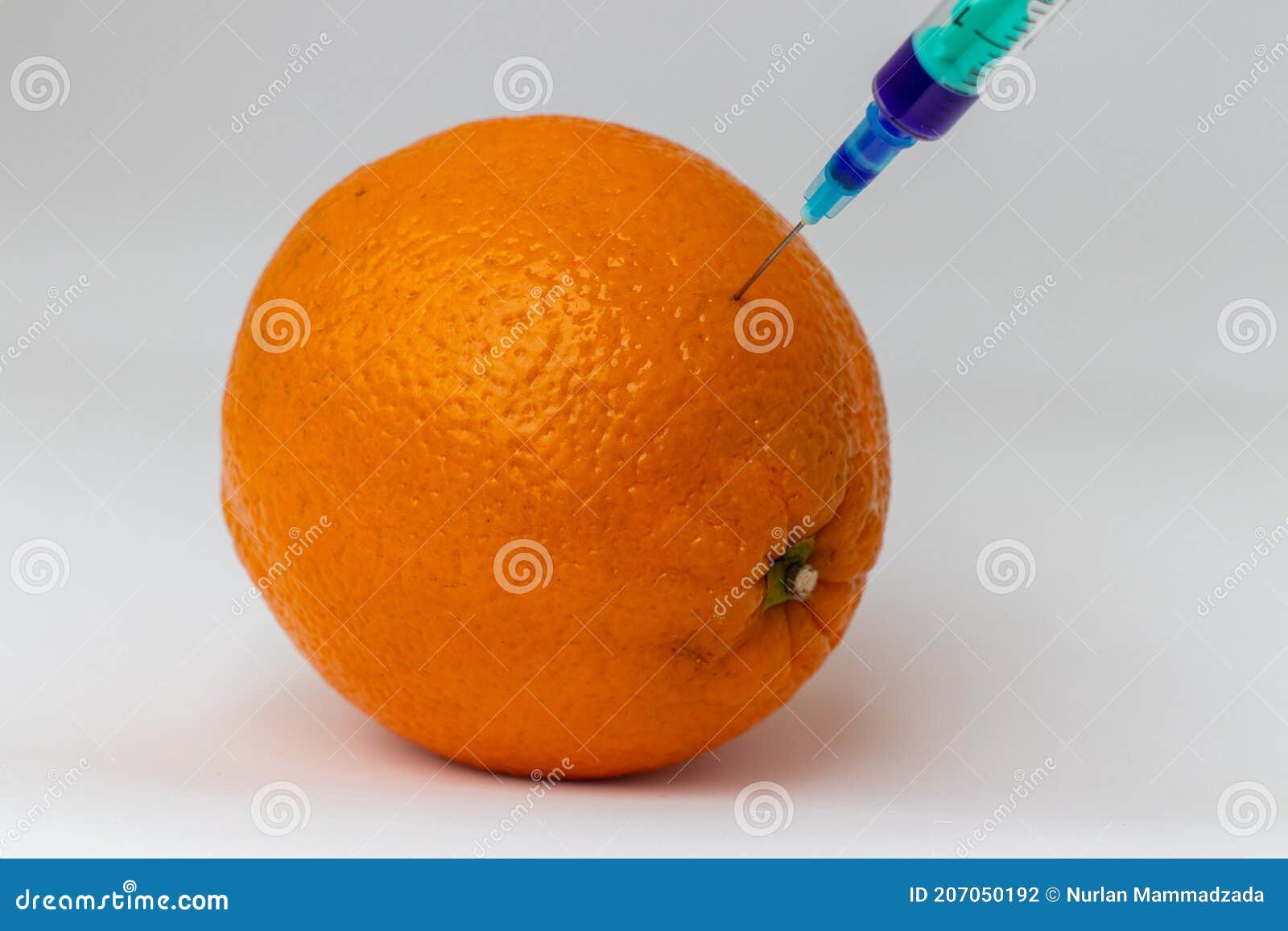 GMO Food. Genetically Modified Squash. Genetic Injection Into Pumpkin ...