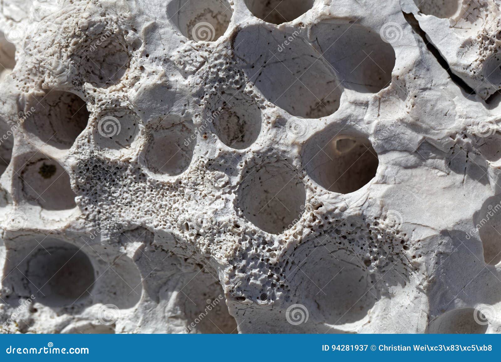 Bioerosion Traces of Boring Organisms Stock Image - Image of ocean ...