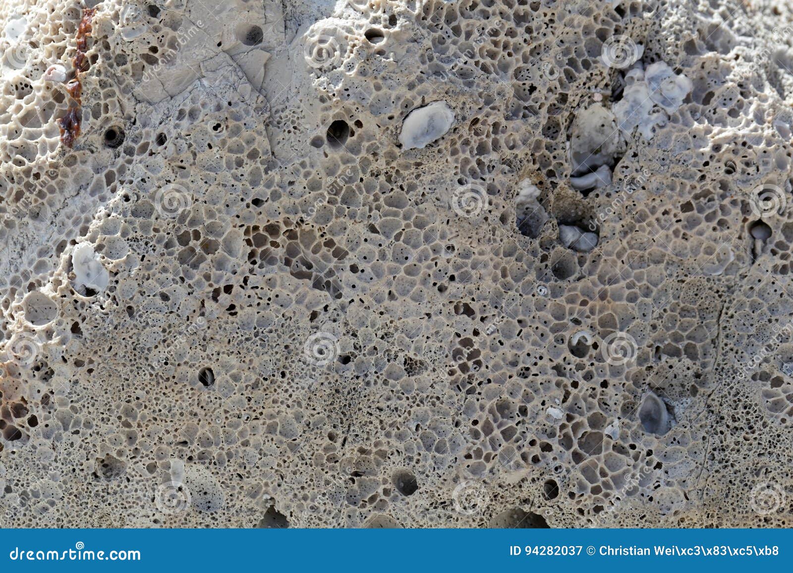 Bioerosion Traces of Boring Organisms Stock Image - Image of rock ...
