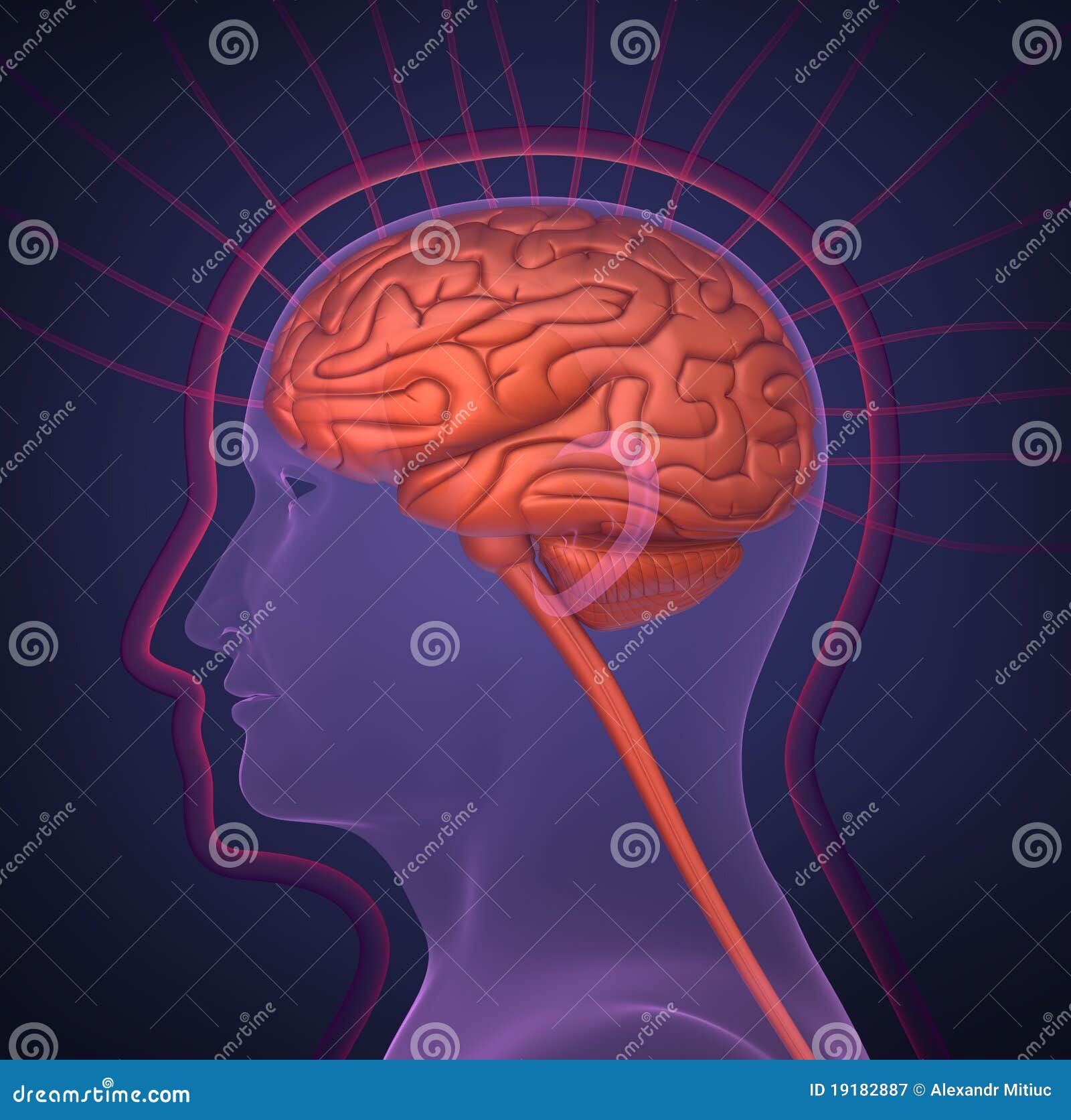 Biofield and human brain stock illustration. Illustration of diagnostic ...