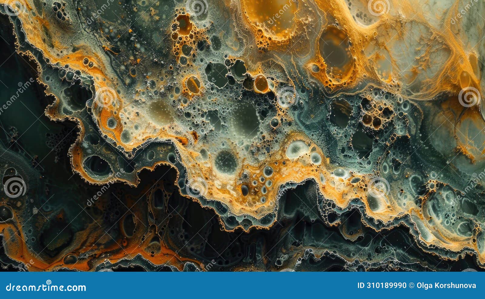 Biofilm Patterns Resemble Alien Terrain, Microbial Complexity Stock ...