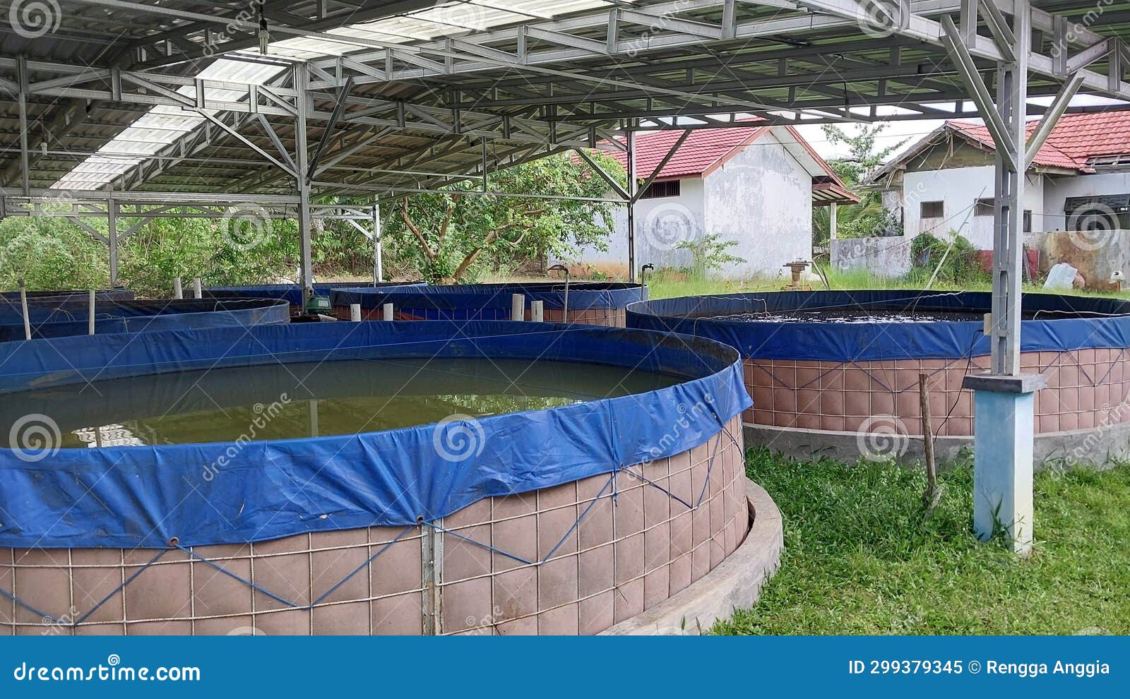 Biofloc Fish Farming Systems or Bio Flocs are Often Used Stock Image ...