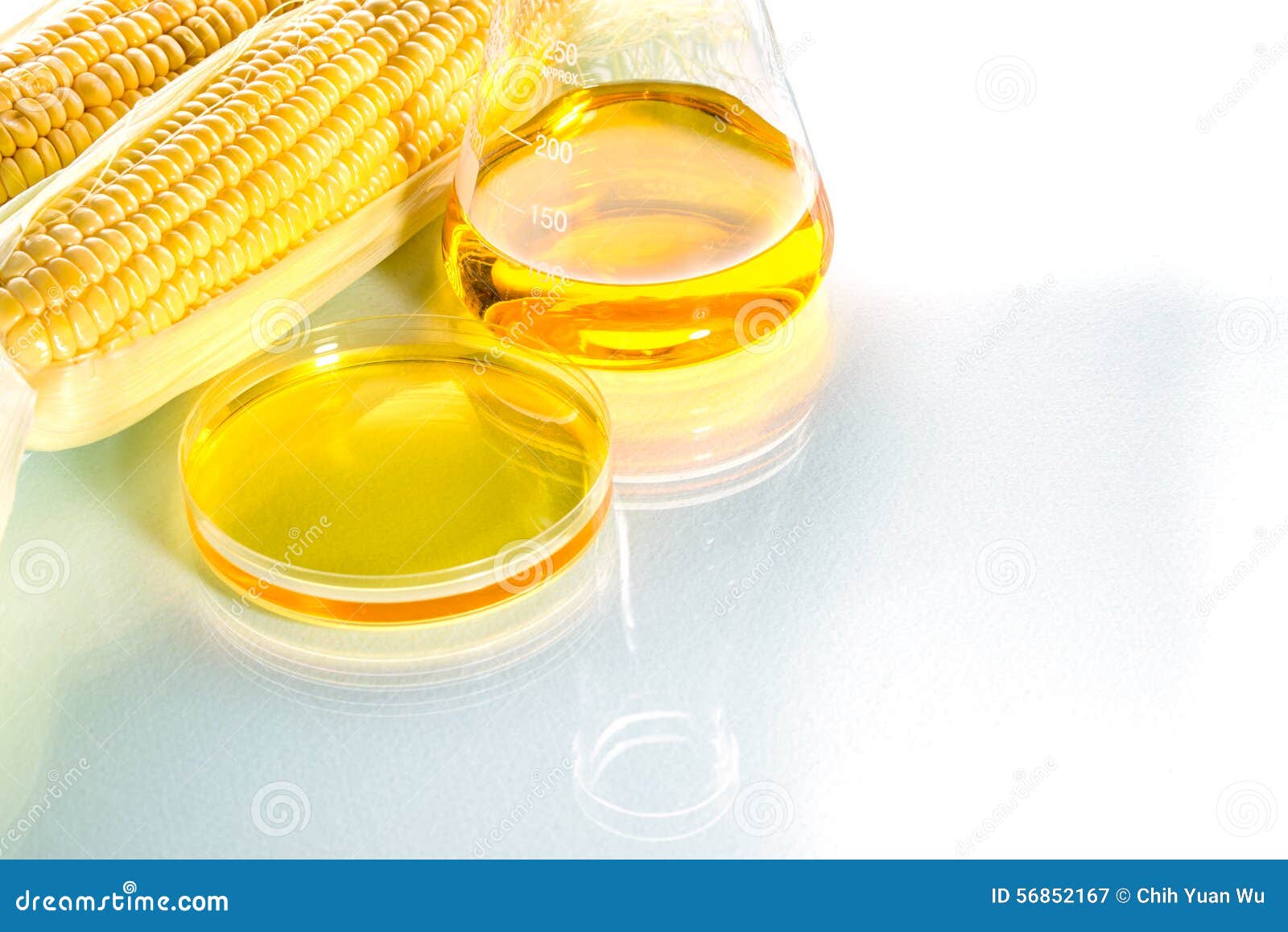 Biofuel or Corn Syrup Sweetcorn Stock Image - Image of beaker ...