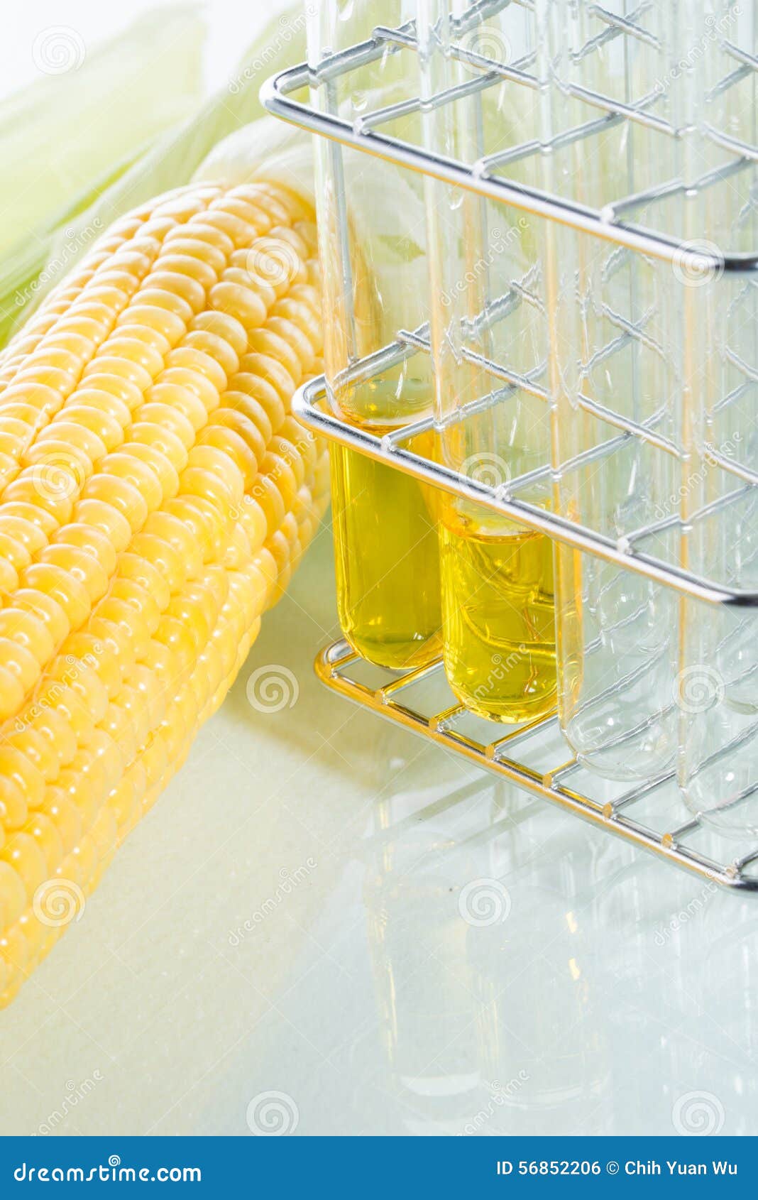 Biofuel or Corn Syrup Sweetcorn Stock Photo - Image of gasoline ...