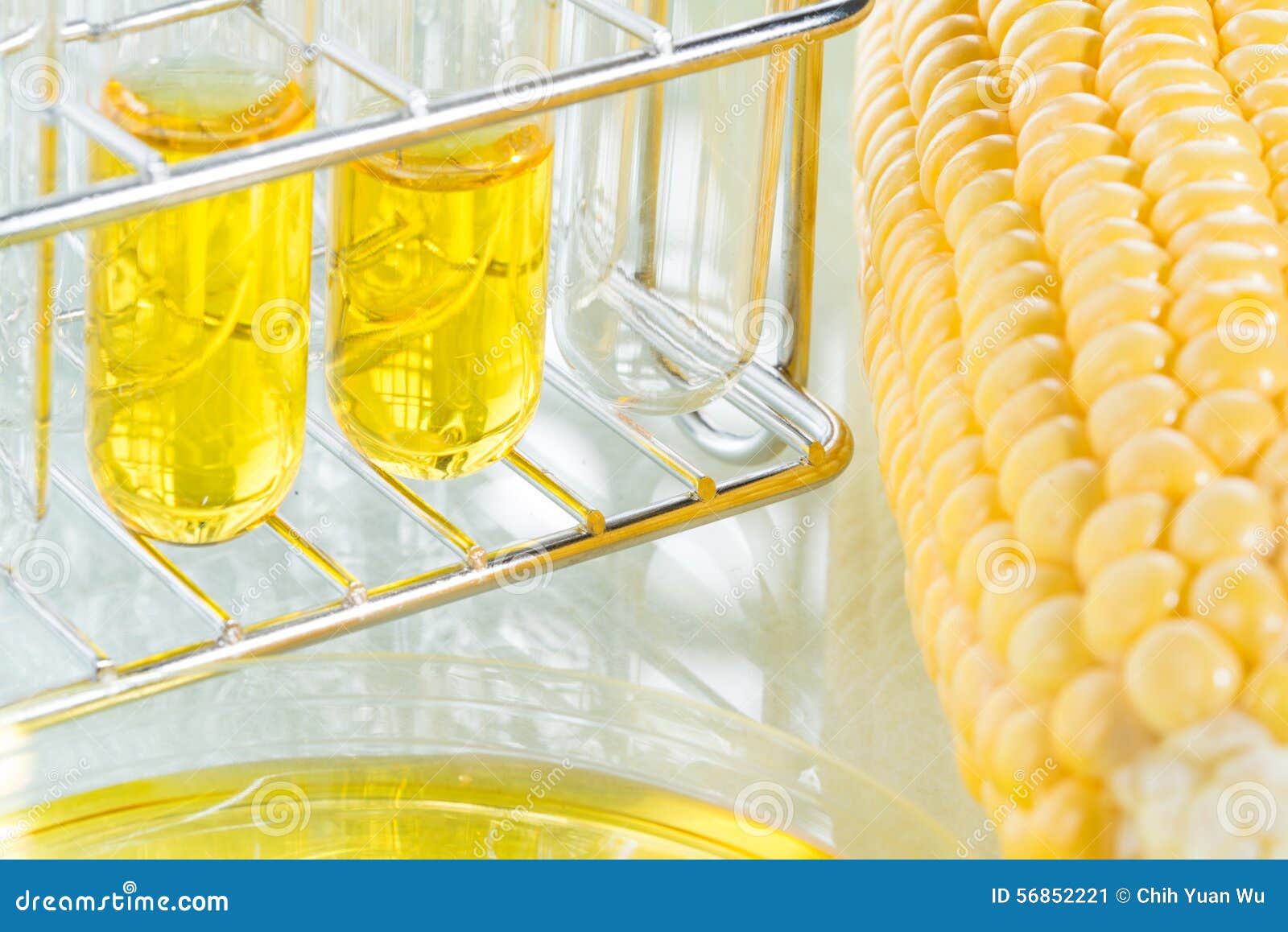 Biofuel or Corn Syrup Sweetcorn Stock Image - Image of glass, chemical ...