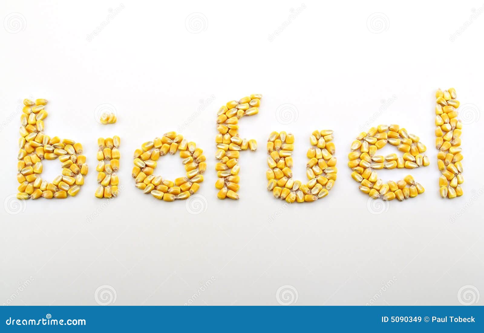 Biofuel I stock image. Image of plant, crop, renewable - 5090349