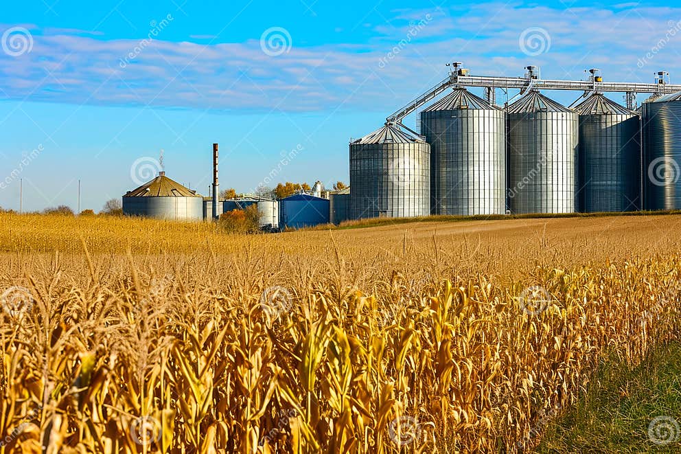 Biofuel Production Facility Converting Corn or Sugarcane into Ethanol ...