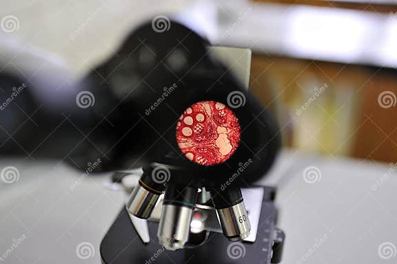 Biohazard danger stock image. Image of biohazard, dangerous - 46893781