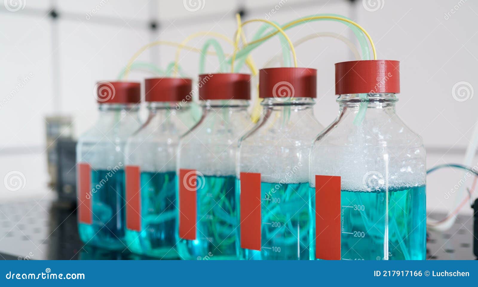 Biohydrogen Droduction Research Produced by Fermentation Stock Photo ...