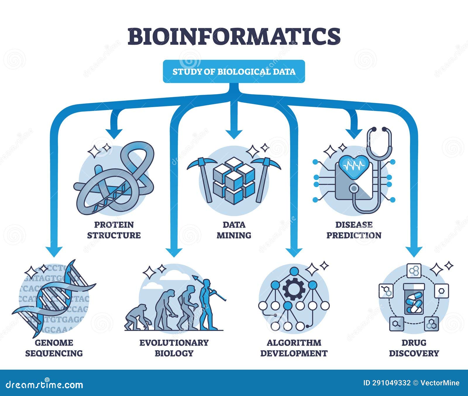 Bioinformatics As Study and Research of Biological Data Outline Diagram ...