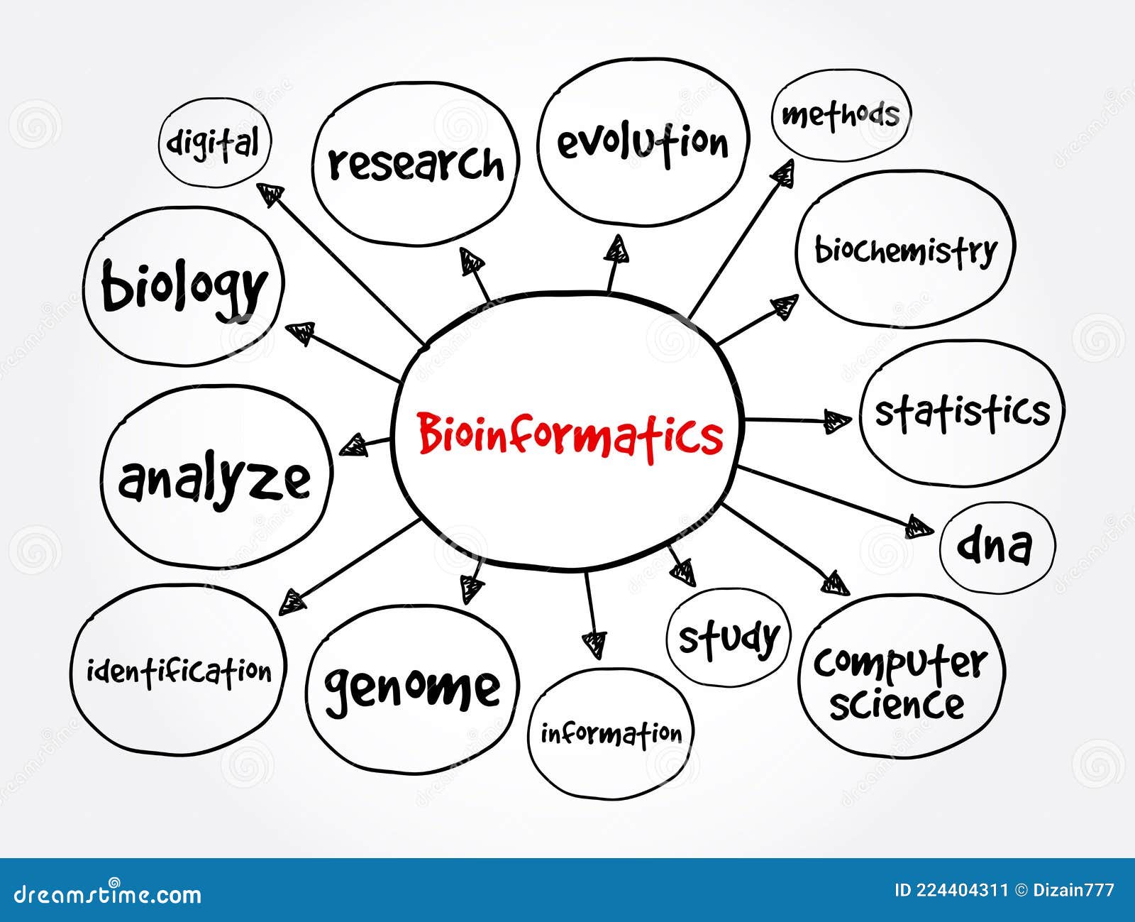Bioinformatics Mind Map, Concept for Presentations and Reports Stock ...