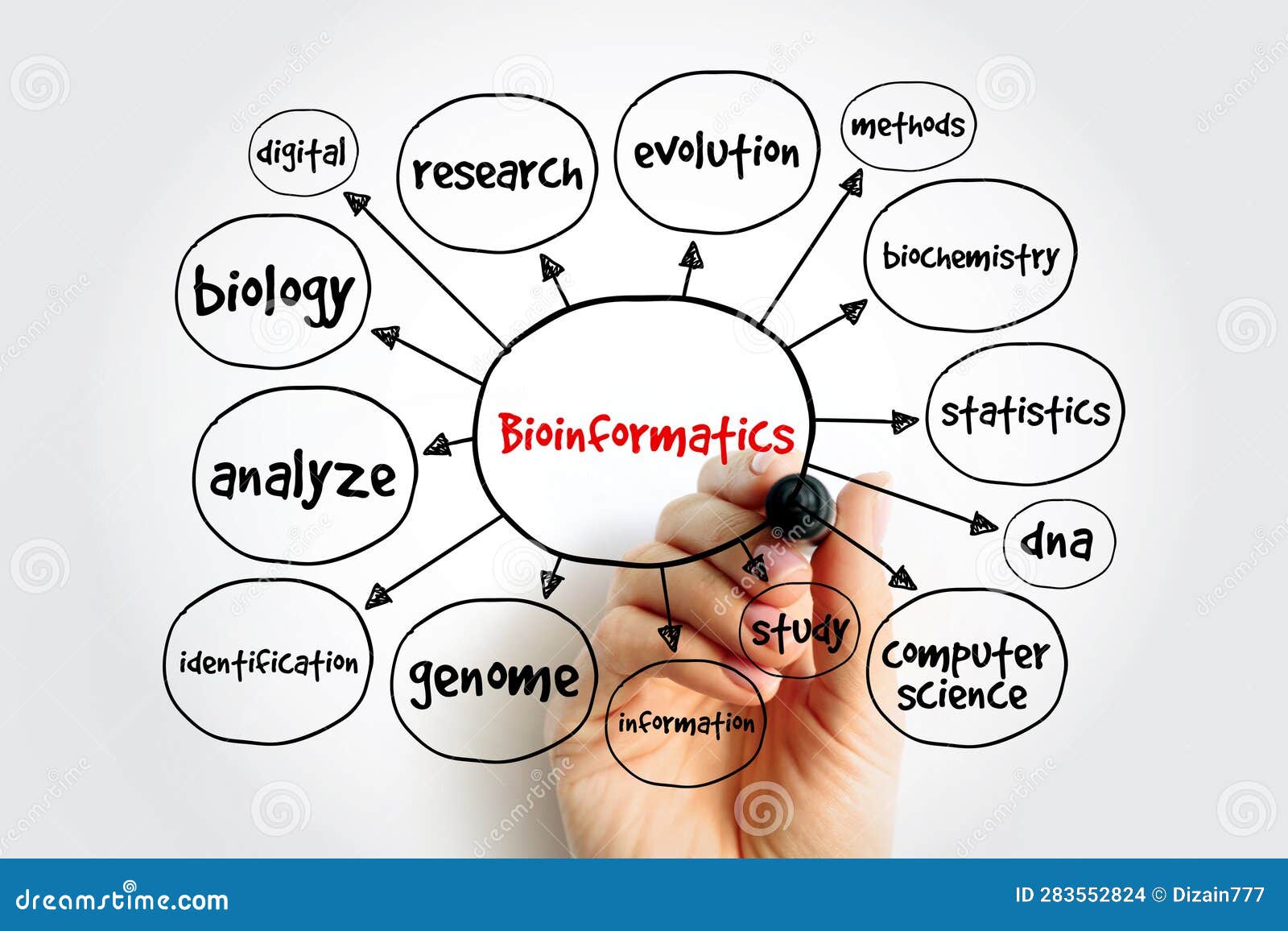 Bioinformatics Mind Map Flowchart Business Concept for Presentations ...