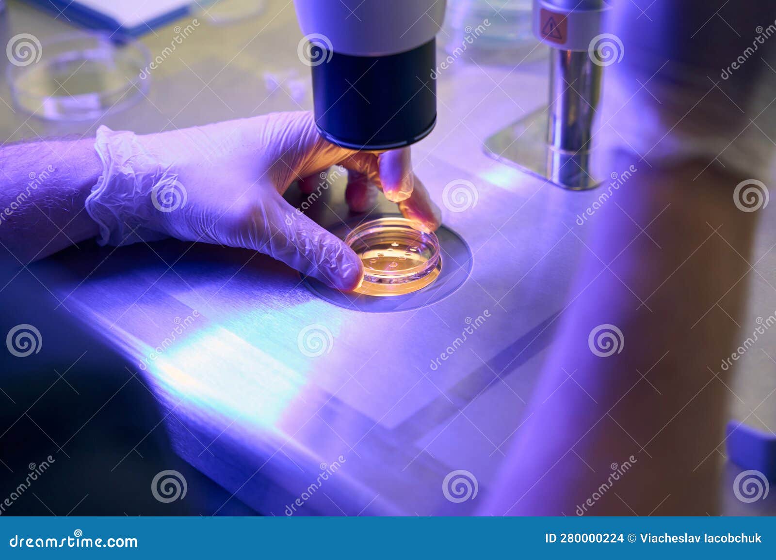 Biolaboratory Worker is Examining Samples Under Microscope Stock Photo ...