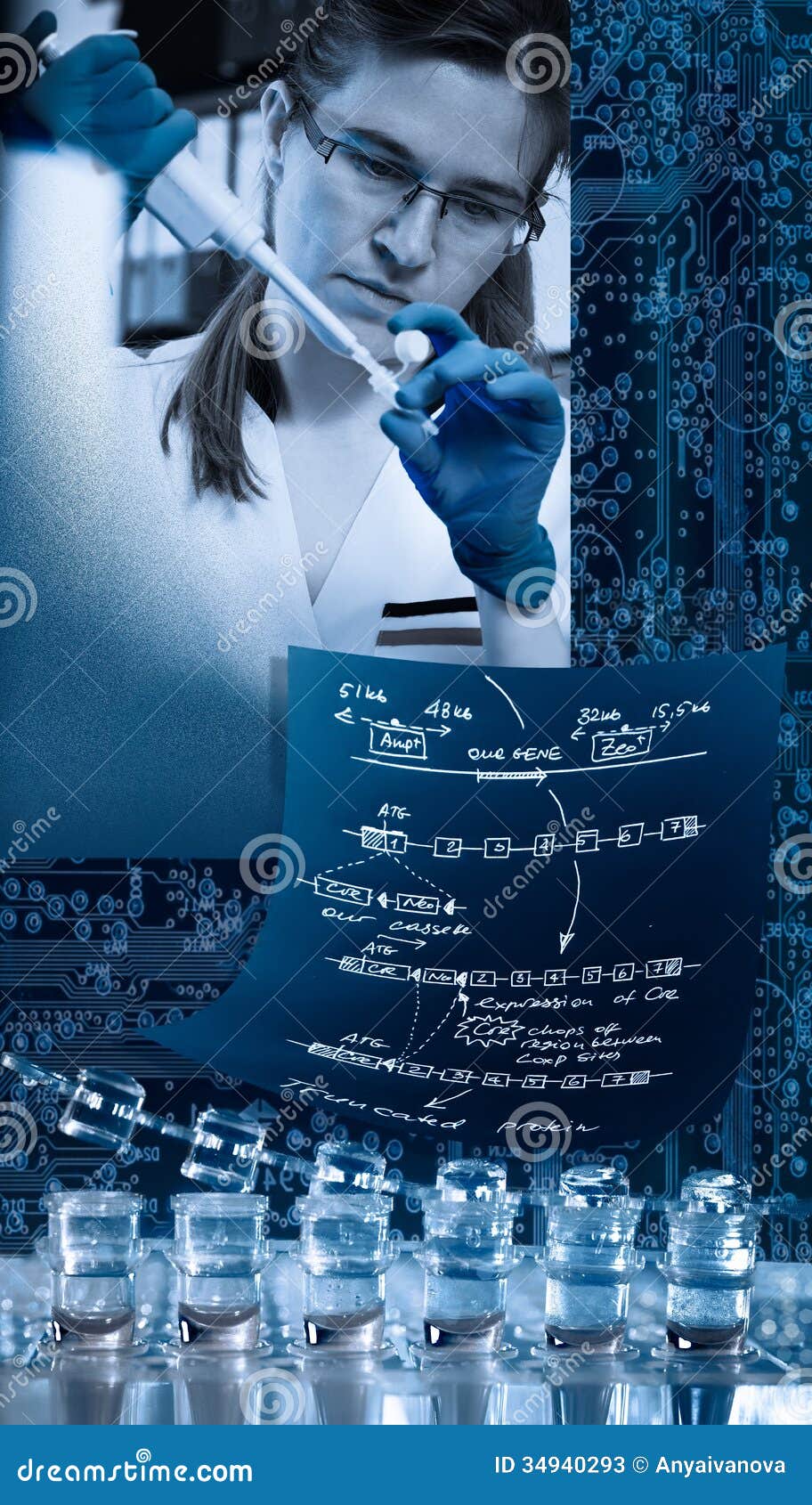 Biología Molecular, Collage Imagen de archivo - Imagen de técnico ...