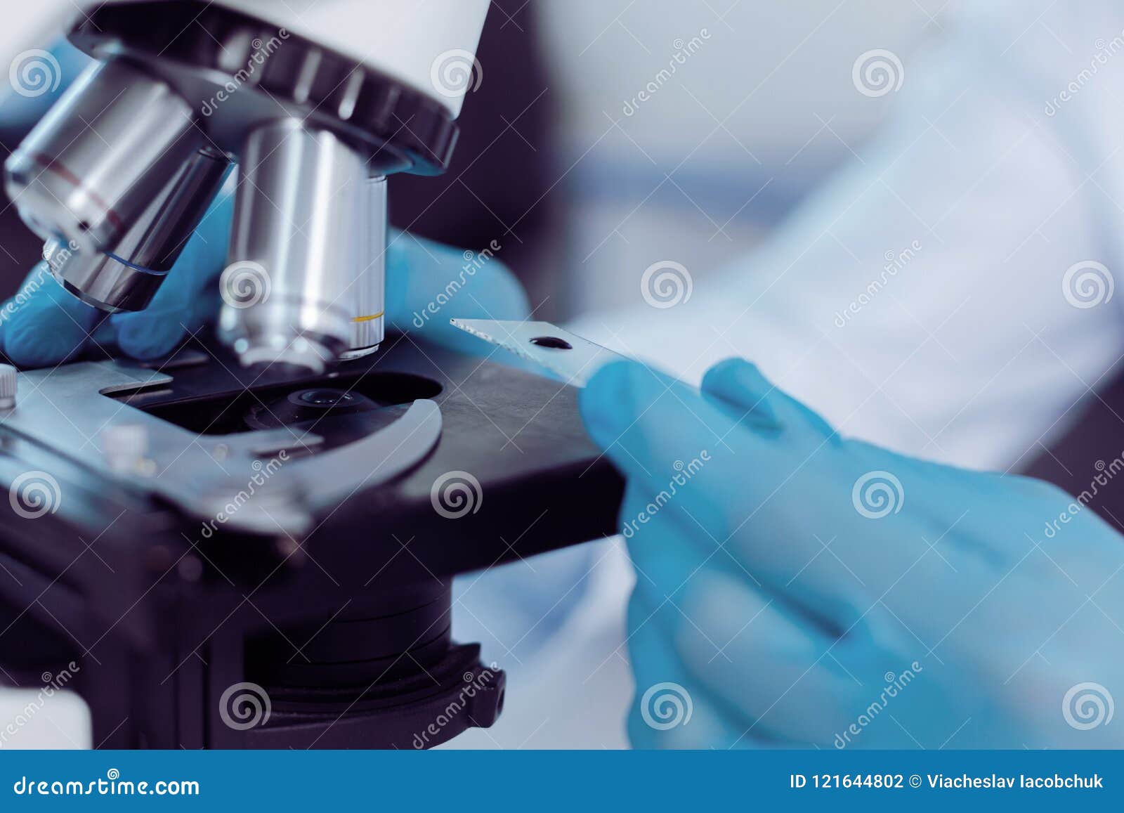 Close Up of a Microscope Slide Stock Photo - Image of biology ...