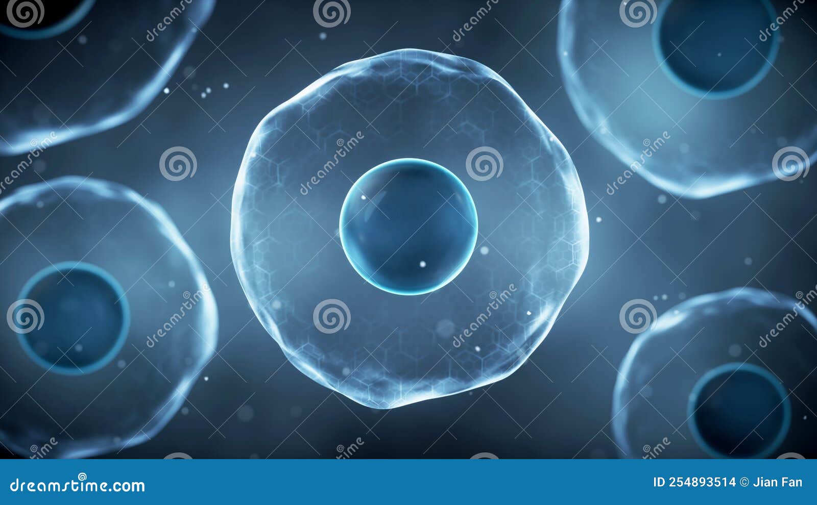 Biological Cell with Thin Film, 3d Rendering Stock Footage - Video of ...