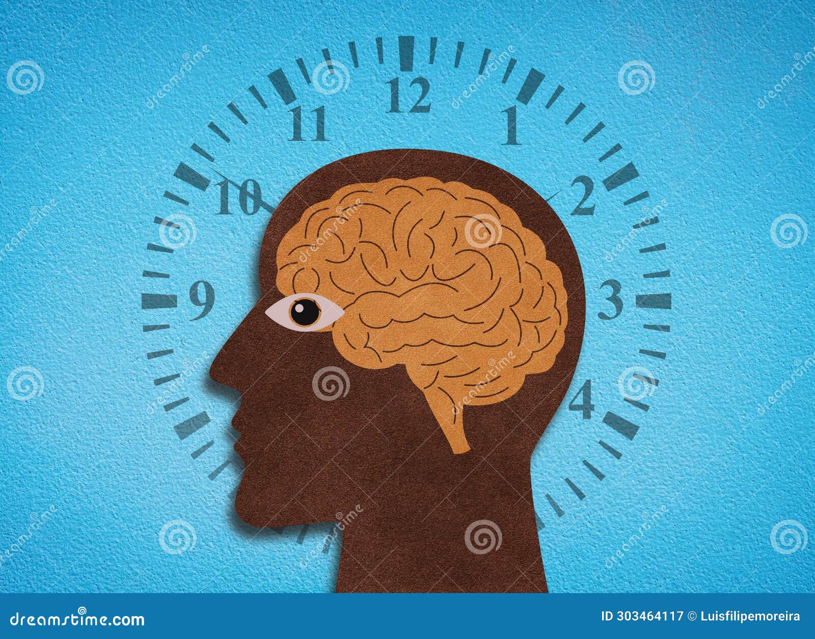 Biological Clock And Circadian Rhythm Conceptual Illustration Stock