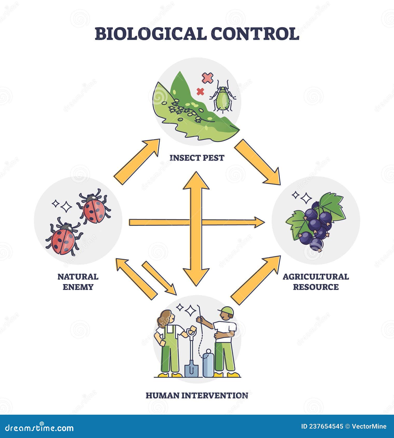 Biological Control With Insect Pest And Human Intervention Outline ... Biological Control With Insect Pest And Human Intervention Outline ...