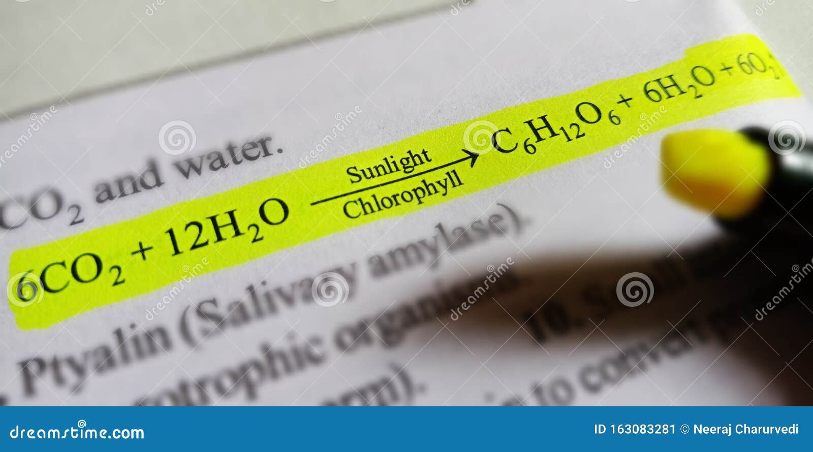 Biological Equation Displayed on White Paper Sheet with Highlights ...
