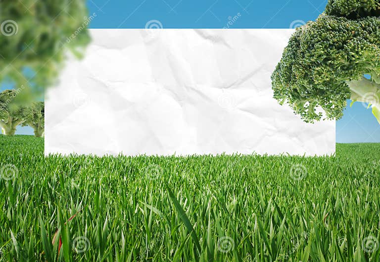 Biological food stock image. Image of diet, paper, biologic - 23993355