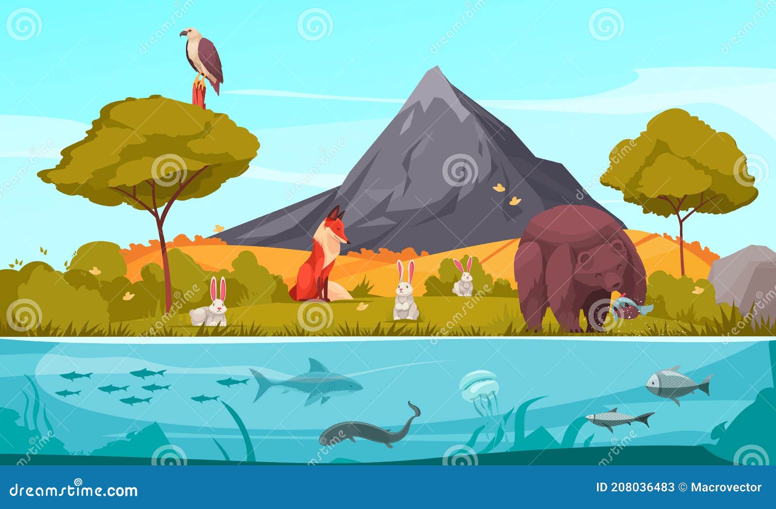 Biological Hierarchy And Ecosystem Infographics, Flat Vector ... Biological Hierarchy And Ecosystem Infographics, Flat Vector ...