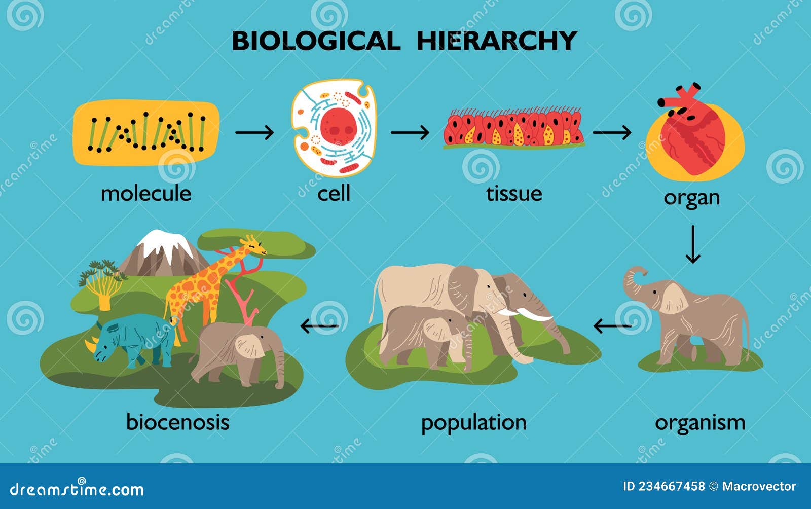 Biosphere Division With Labeled Ecosystem Explanation Scheme Outline ... Biosphere Division With Labeled Ecosystem Explanation Scheme Outline ...