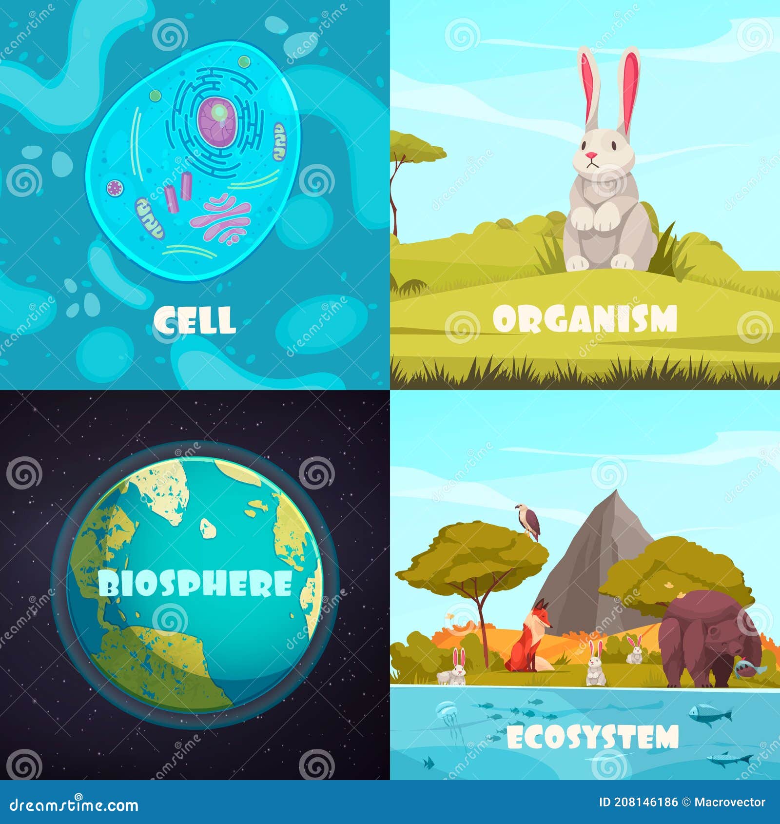 Biological Hierarchy And Ecosystem Infographics, Flat Vector ... Biological Hierarchy And Ecosystem Infographics, Flat Vector ...