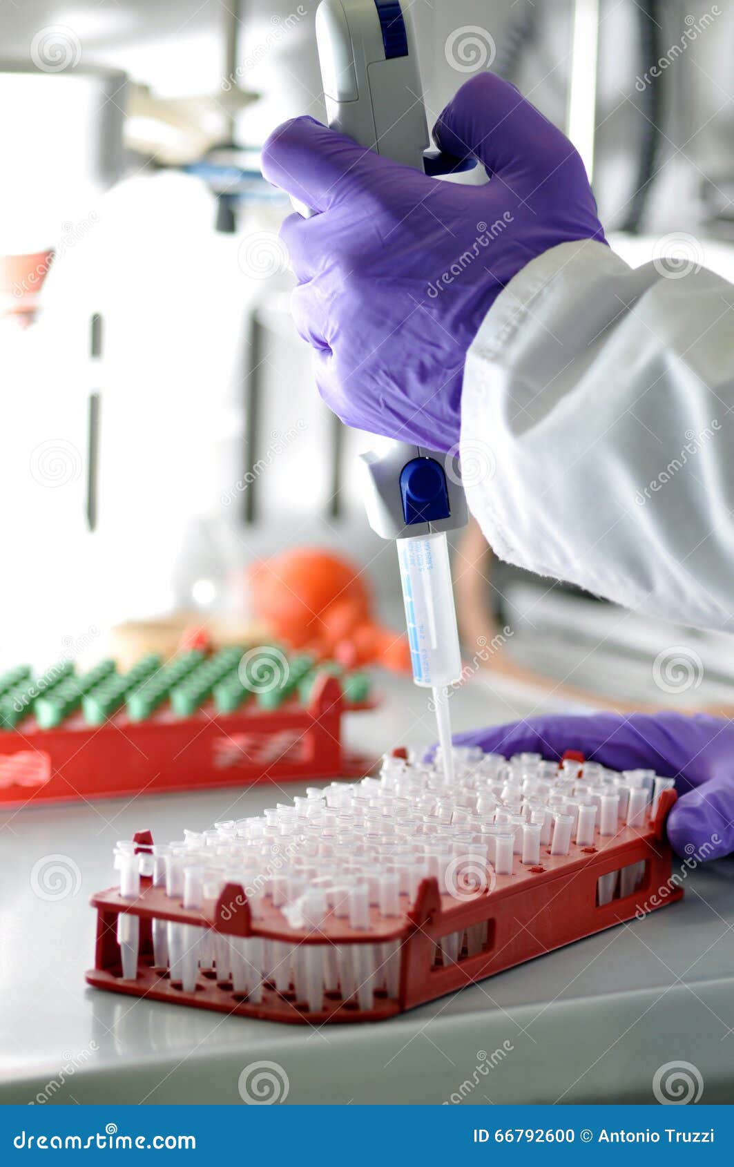 Biological Laboratory Analysis with Pipe Stock Photo - Image of coat ...