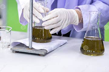 Biological Oxygen Demand BOD Testing Process in Lab. Stock Image ...