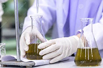 Biological Oxygen Demand BOD Testing Process in Lab. Stock Image ...
