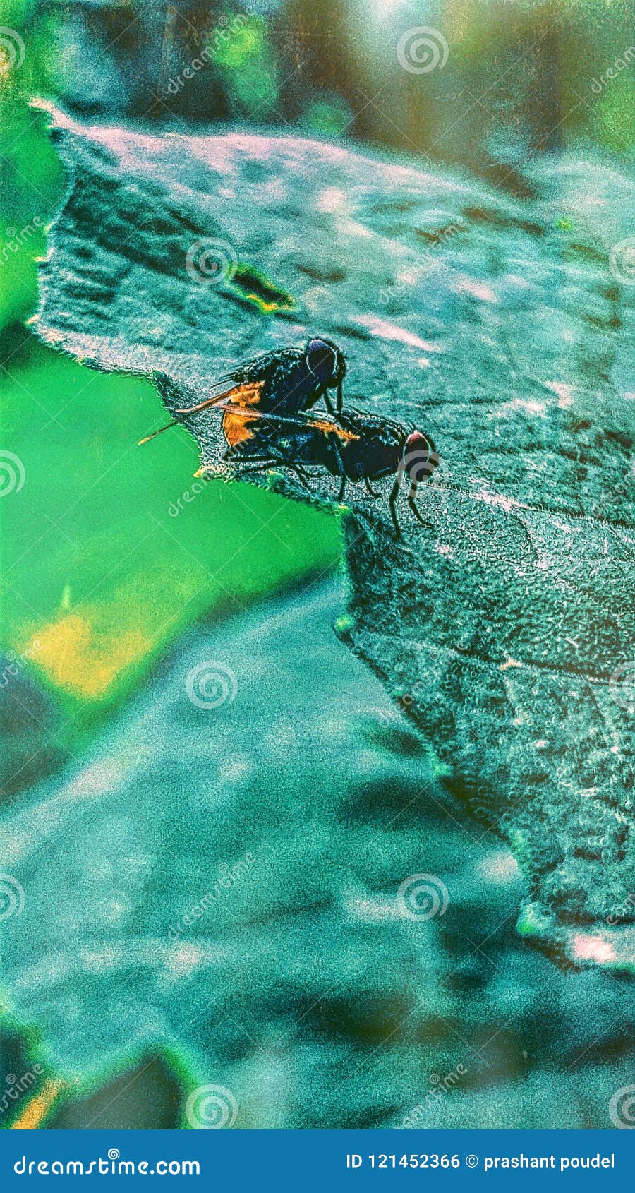 Biological process stock photo. Image of process, biological - 121452366