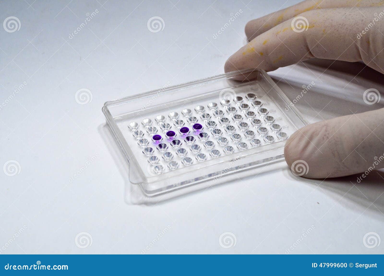 In Biological Research Laboratories. Stock Photo - Image of medicine ...