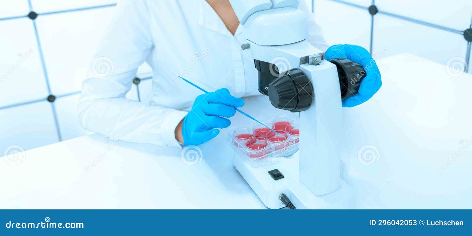 Biological Sample Analysis: Microscopes are Employed for Analyzing Bio ...