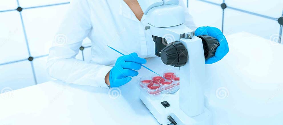 Biological Sample Analysis: Microscopes are Employed for Analyzing Bio ...
