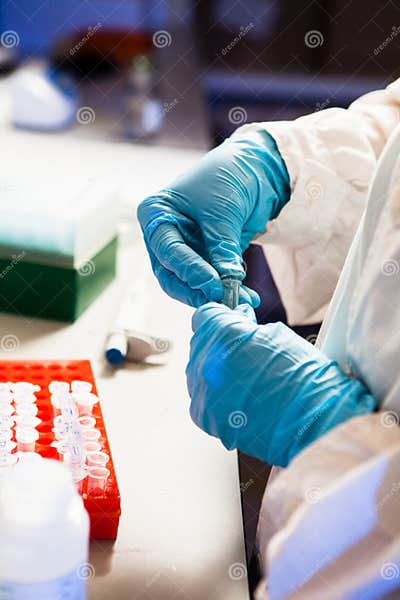 Biological Sample Preparation Stock Image - Image of process, test ...