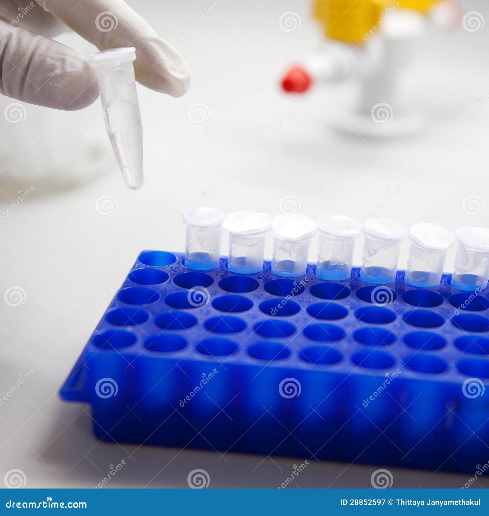 Biological Solution in Eppendorf Stock Image - Image of analysis, chemist: 28852597