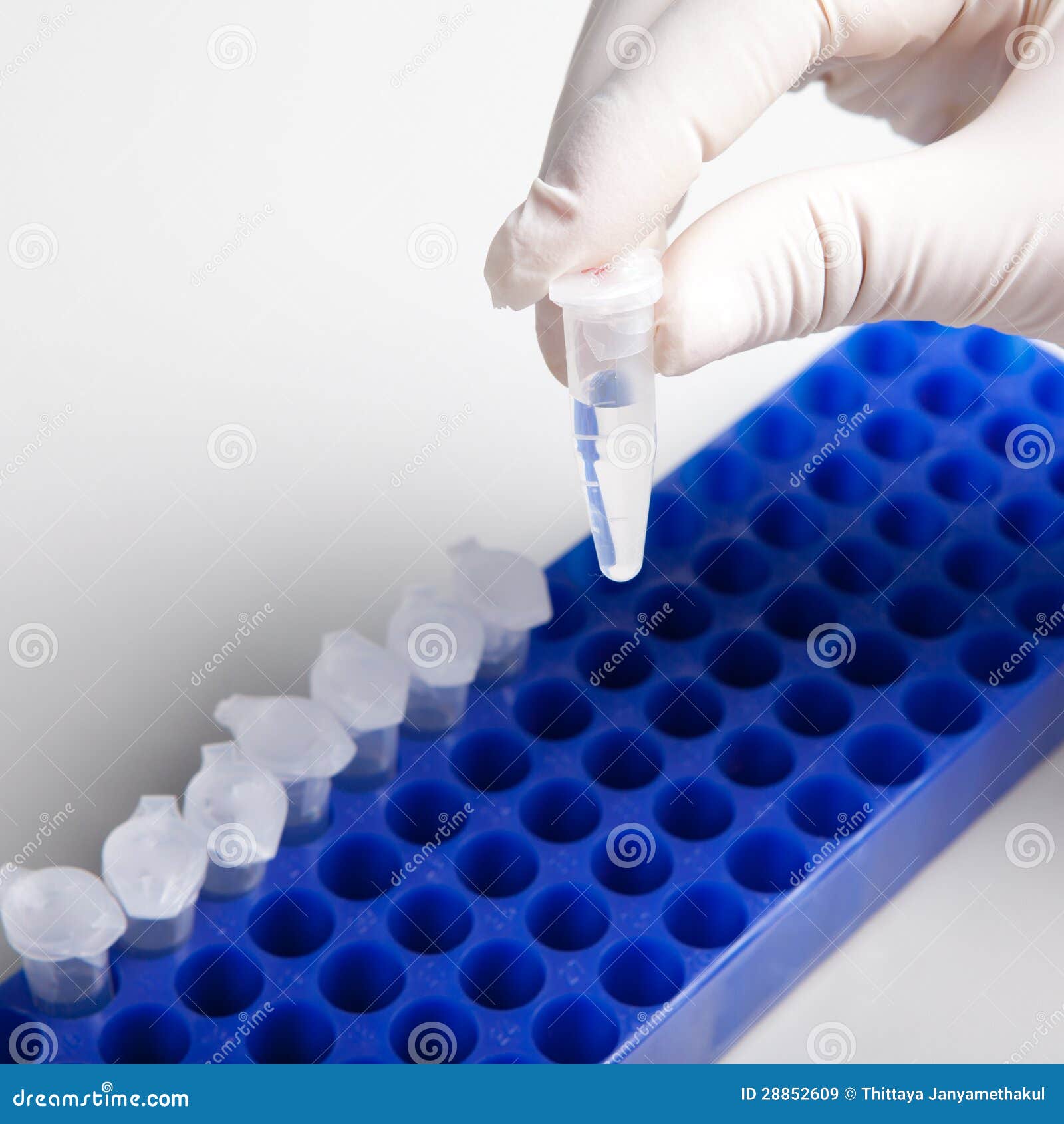 Biological Solution in Eppendorf Stock Image - Image of liquid, genetic: 28852609