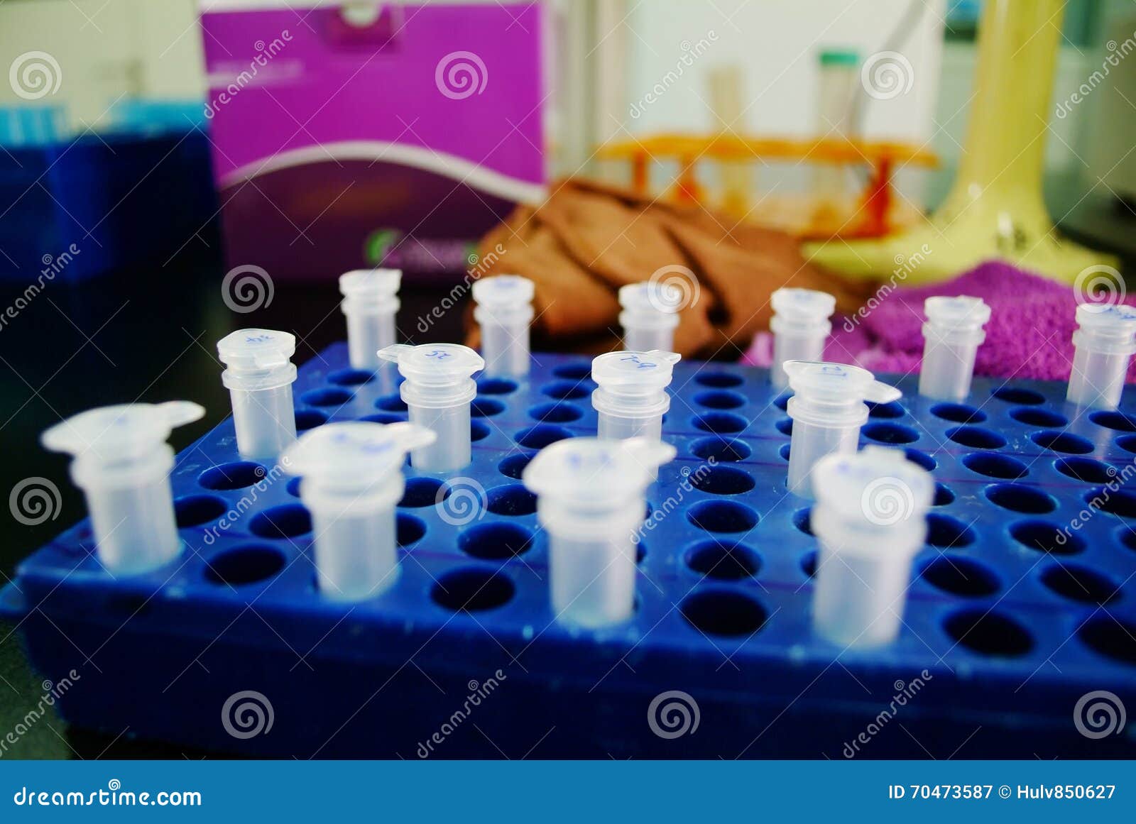 Biological Solution in Eppendorf Stock Image - Image of education ...