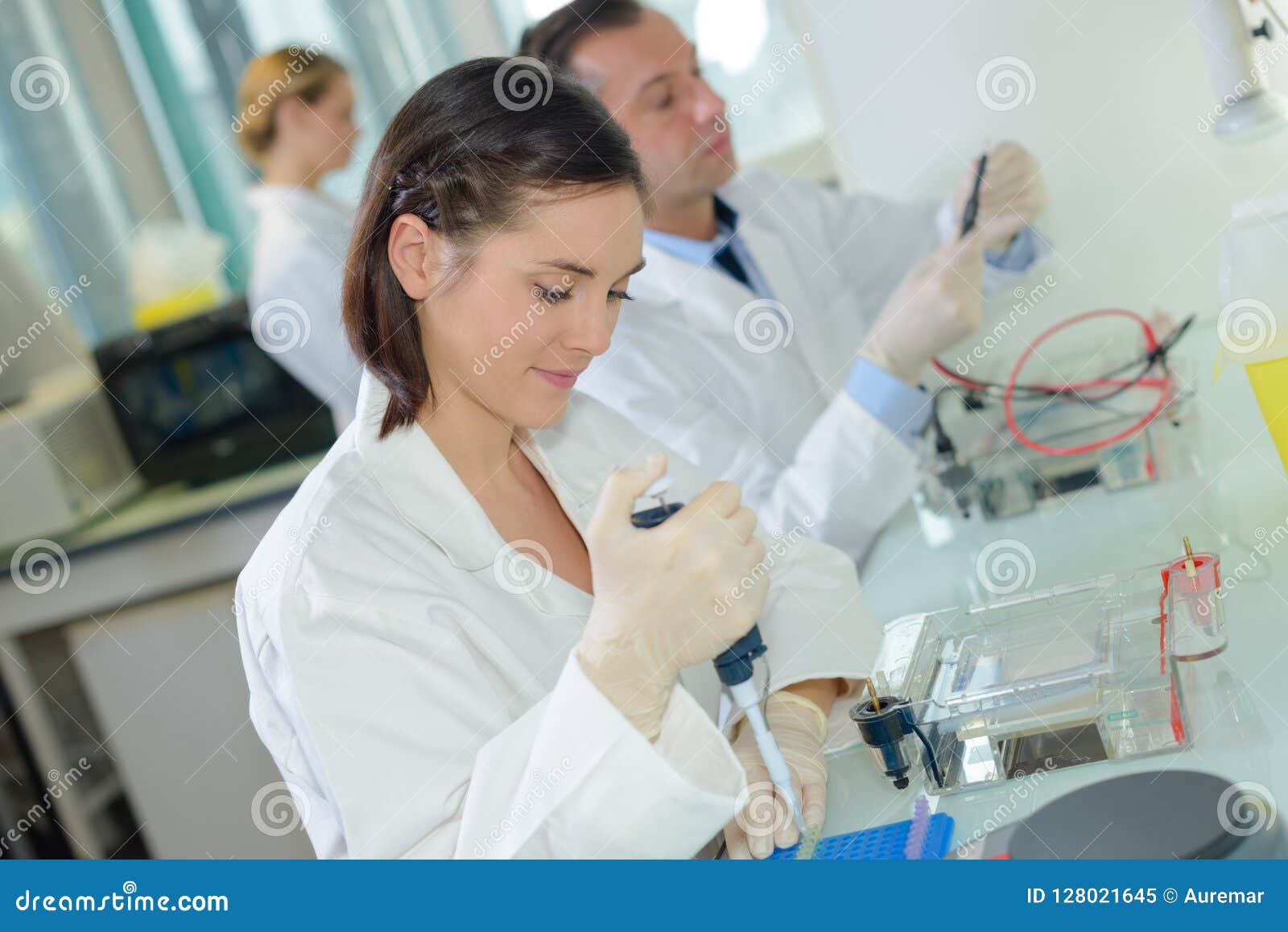Biological Technician Putting Samples Stock Image - Image of ...