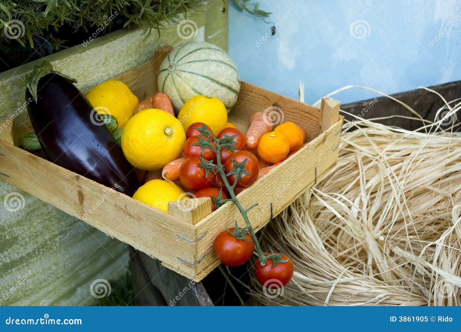 Biological vegetable case stock image. Image of agriculture - 3861905
