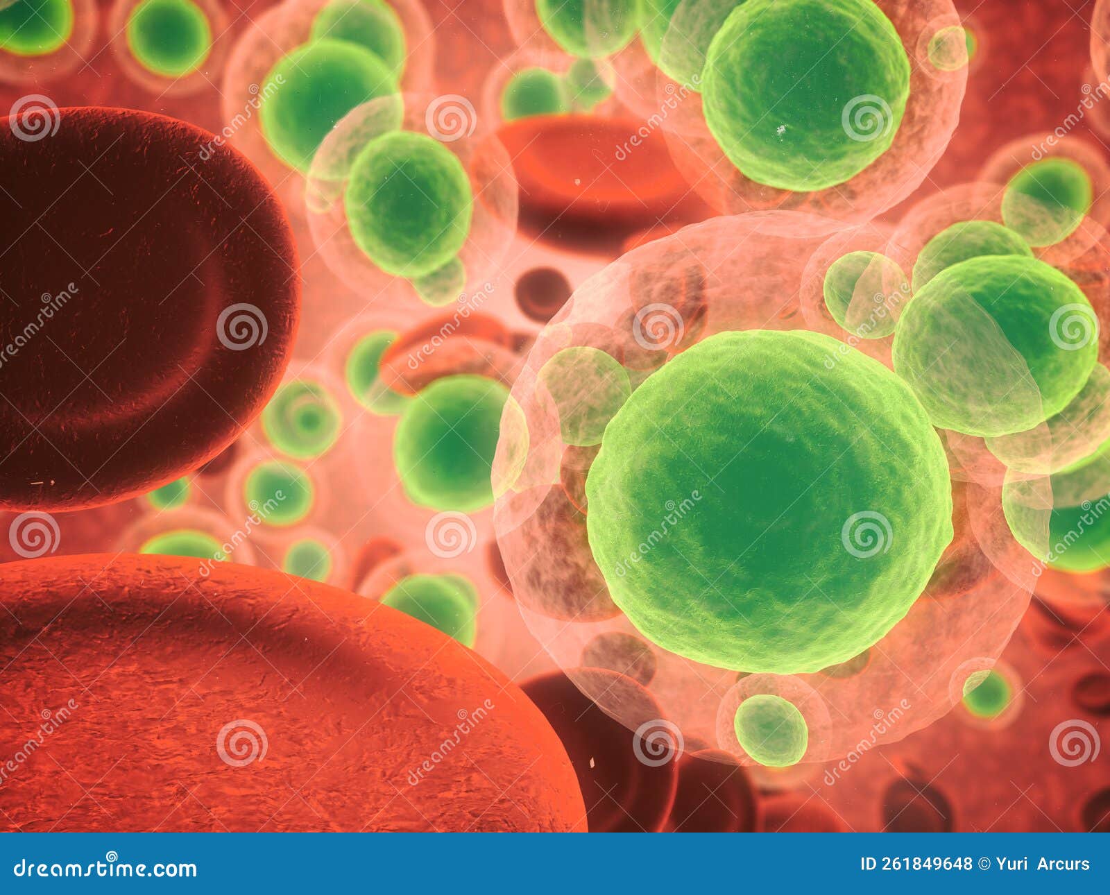 Biological Warfare. Microscopic View of Bacteria in the Human Body ...