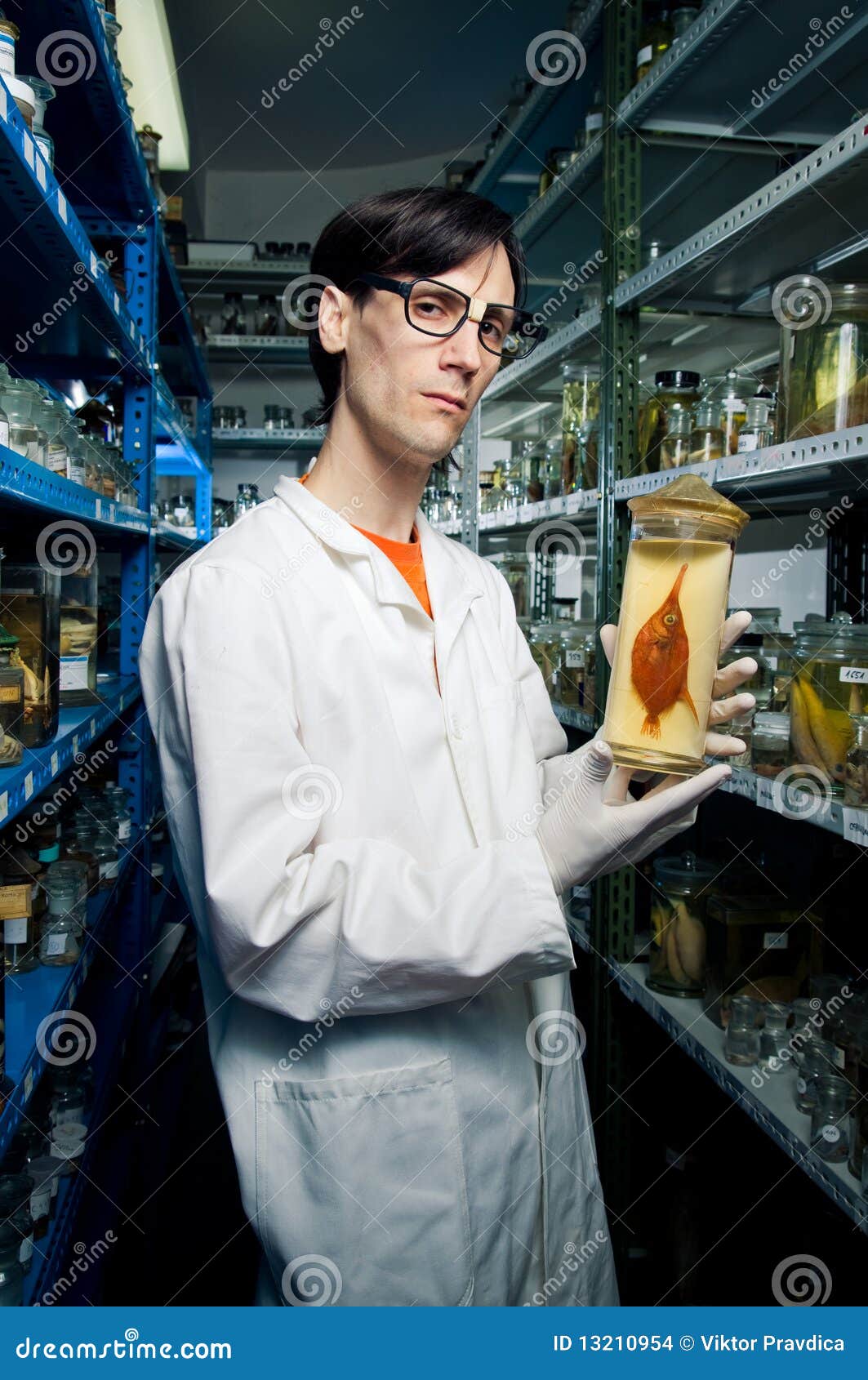 Biologist stock photo. Image of intelligent, collection - 13210954