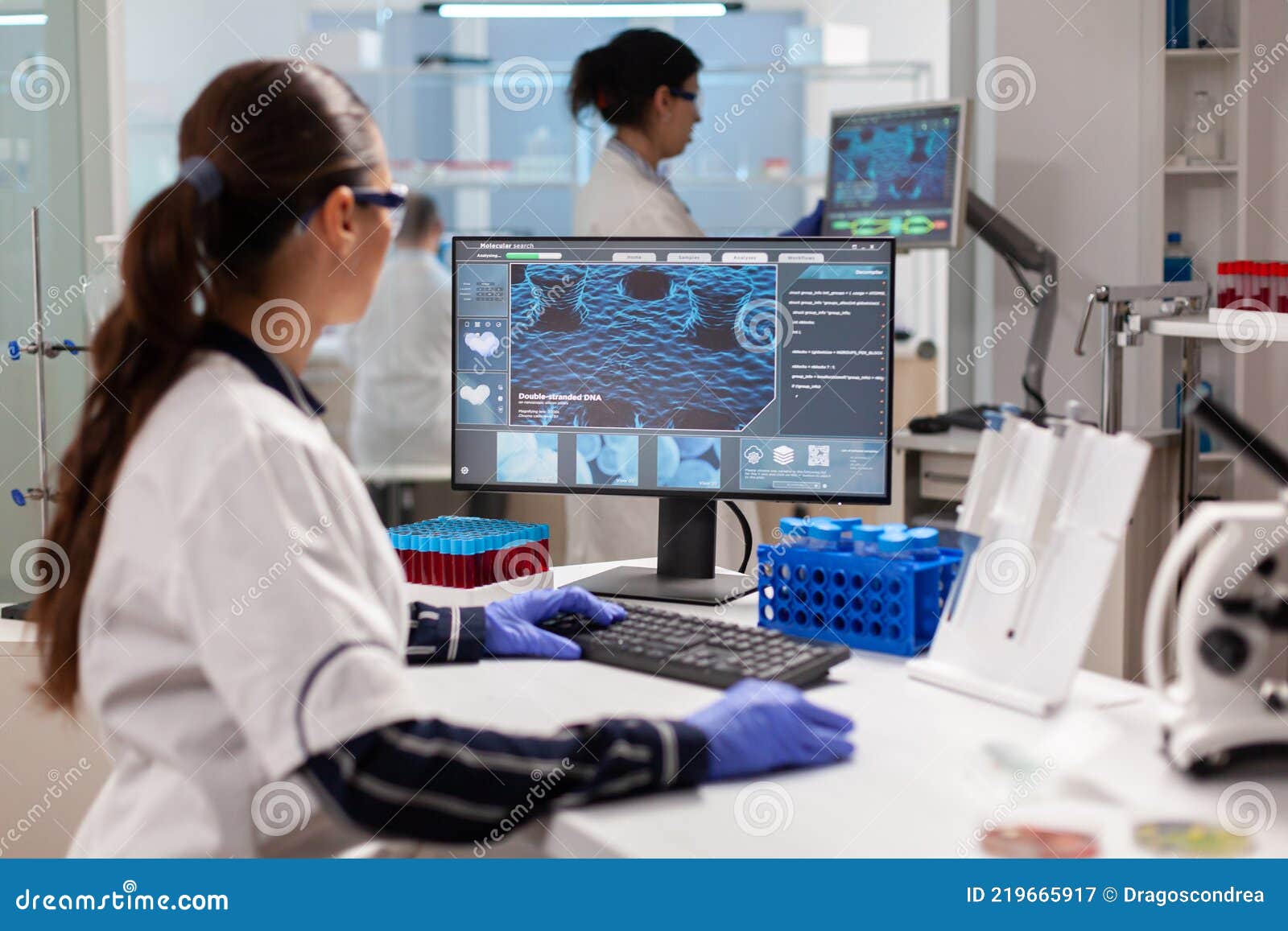 Biologist Doctor Checking DNA Informations Typing on Pc Stock Image ...